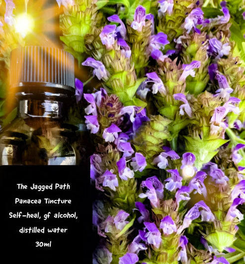 Panacea Tincture – The Jagged Path